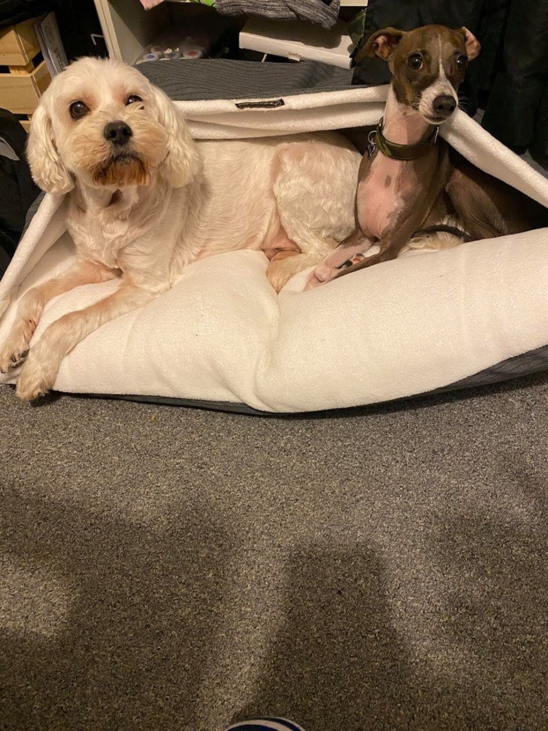 Cave Dog Bed, Dog Snuggle Bed, Dog Bed, Whippet's Bed. - Happys Doggy Beds